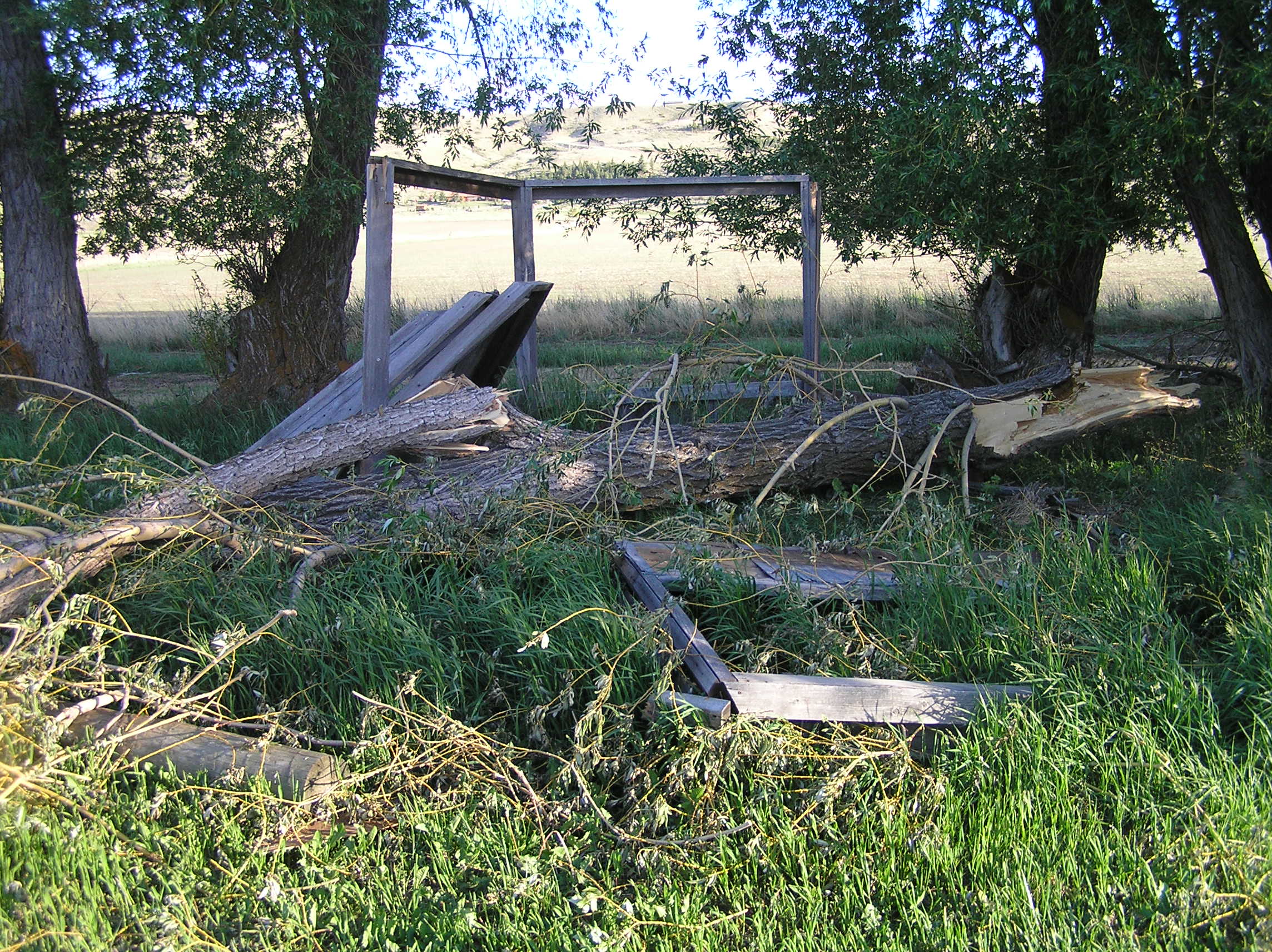 Crushed Gazebo Skeleton | John Sommers-Flanagan